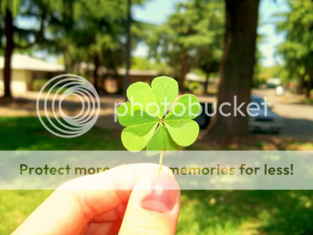 -clover - Asianfanfics