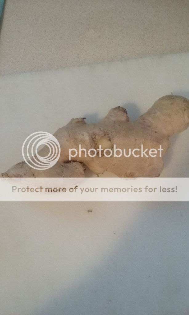 Simple Ginger Paste – Disabled Cooking Tips